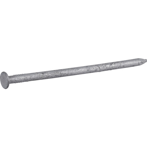 Hot Dipped Galvanized Common Nails (3-1/2") - 1,269 pc